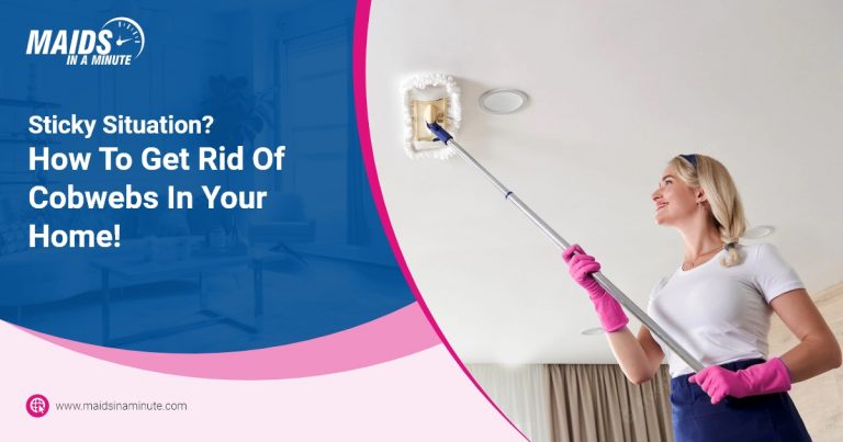 Sticky Situation? How To Get Rid Of Cobwebs In Your Home! | Blog